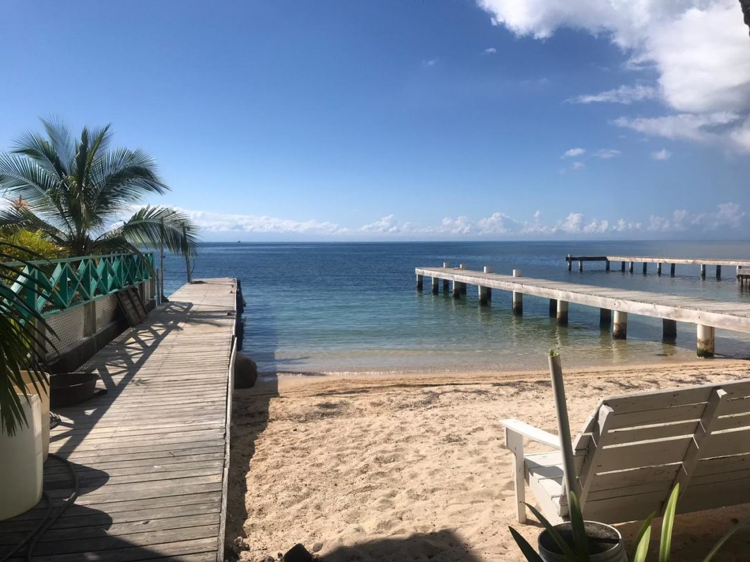 Home - The Best Scuba Diving in Utila